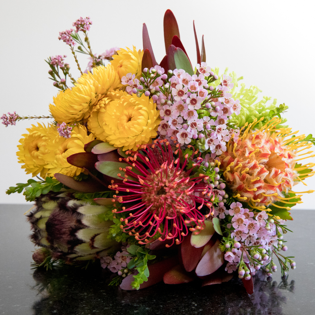 Australian Native Flowers – Flower Shed