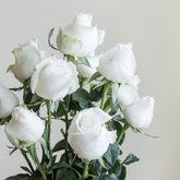 Chrysanthemum Disbuds – Flower Shed